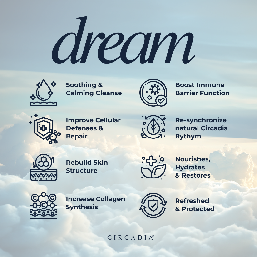 Dream | CIRCADIA