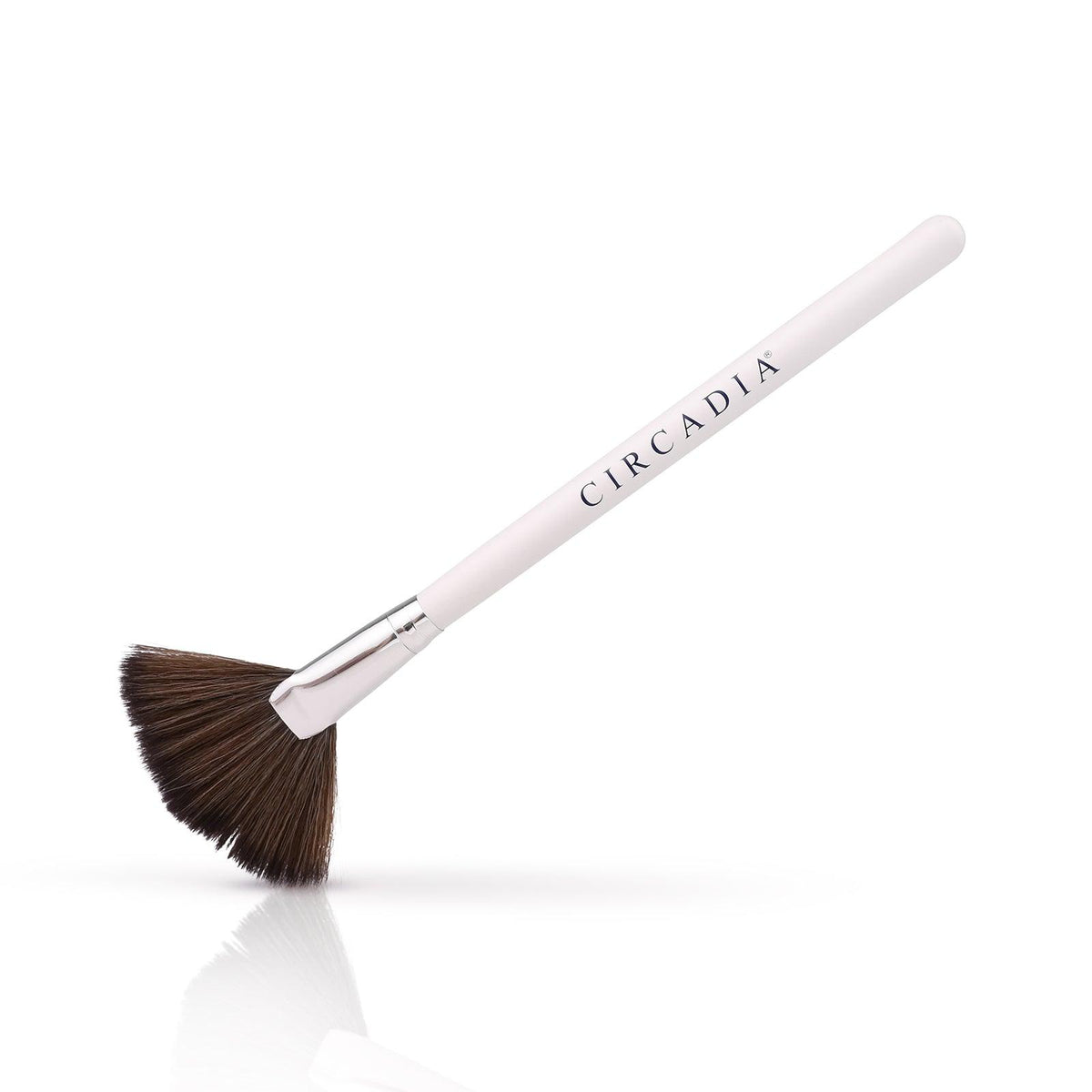 Large Fan Brush | CIRCADIA